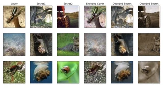 Multi-Image Steganography Using Deep Neural Networks | Abhishek Das